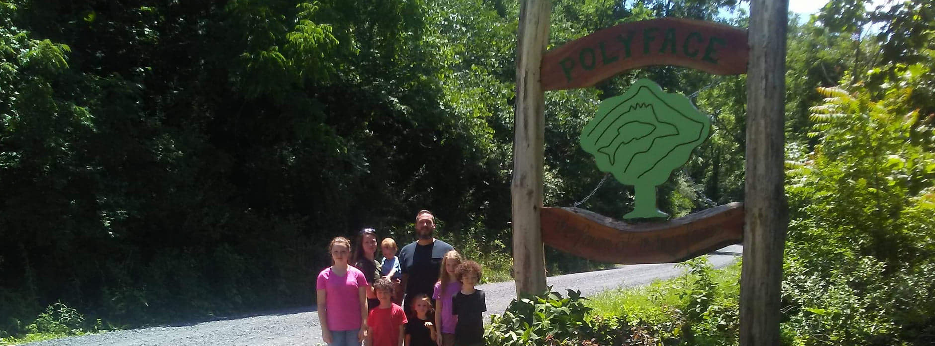 Our Visit To Polyface Farm – The Pilgrim Homestead